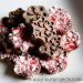 Easy Snowflake Peppermint Bark - Happy Hour Projects