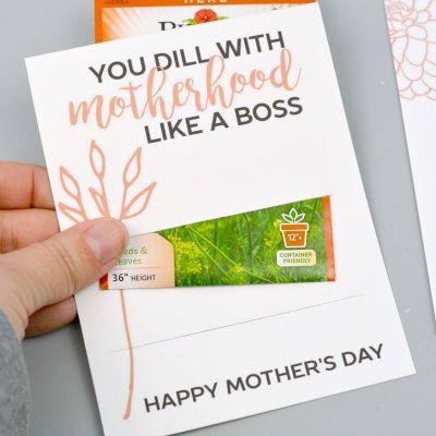 Craft Lightning Mother's Day Crafts | Seed Packet Cards - Happy Hour ...